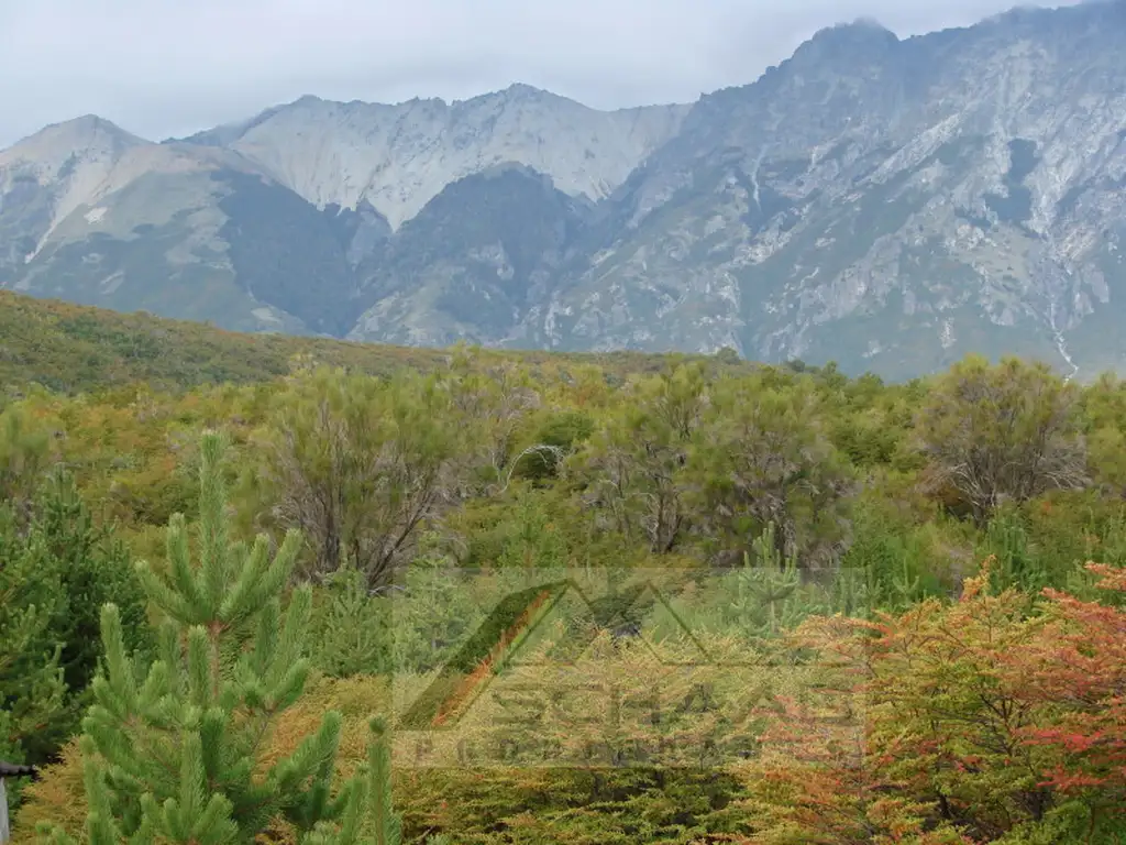 Campo Venta, Forestal, 20 ha, Ruta 40 Acepta Permuta, El Foyel | Argenprop