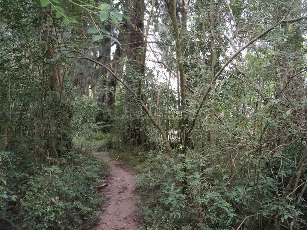 Terreno Venta, 20mts frente, 165mts fondo, Rio Capitan 500, Capitan ...