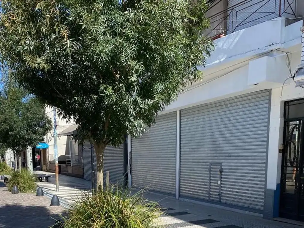 Alquiler Local, Justa Lima 200, Zarate, Zona Norte | Argenprop