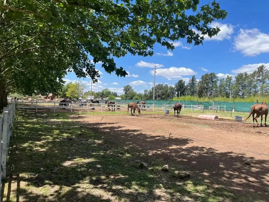 Lote en Venta en Haras Del Sol - - Argenprop