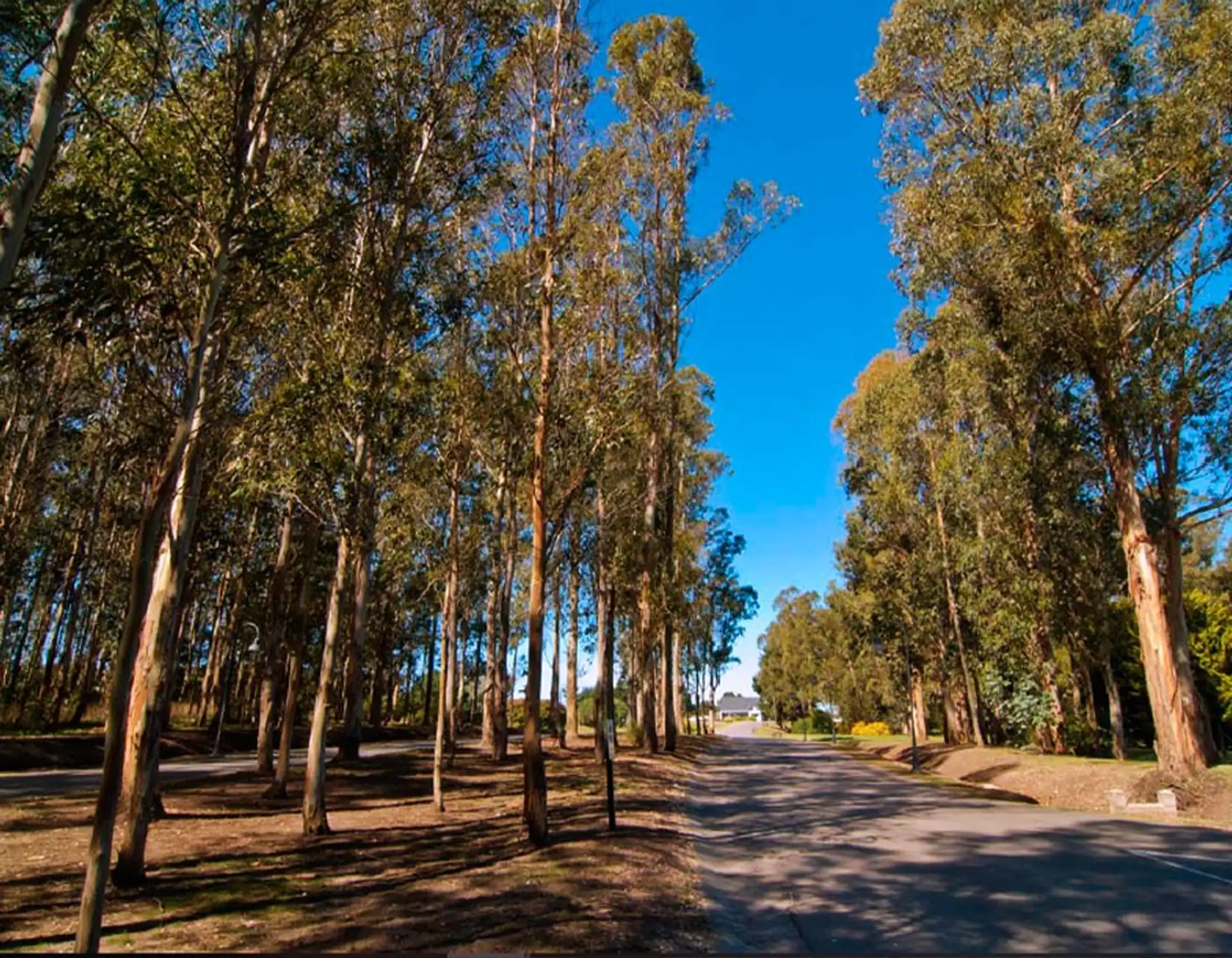 Rumenco - Barrio cerrado - General Pueyrredon - Argenprop